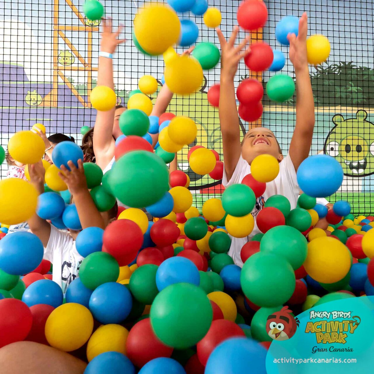 Angry Birds Activity Park